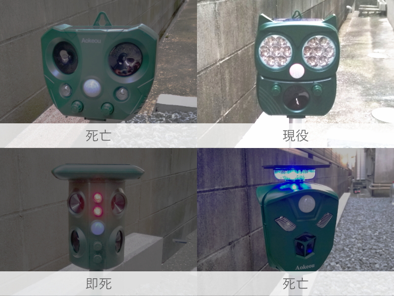 ついに5台目導入！猫よけに「yookey超音波動物撃退器」試してみた | New！収納教える．コム